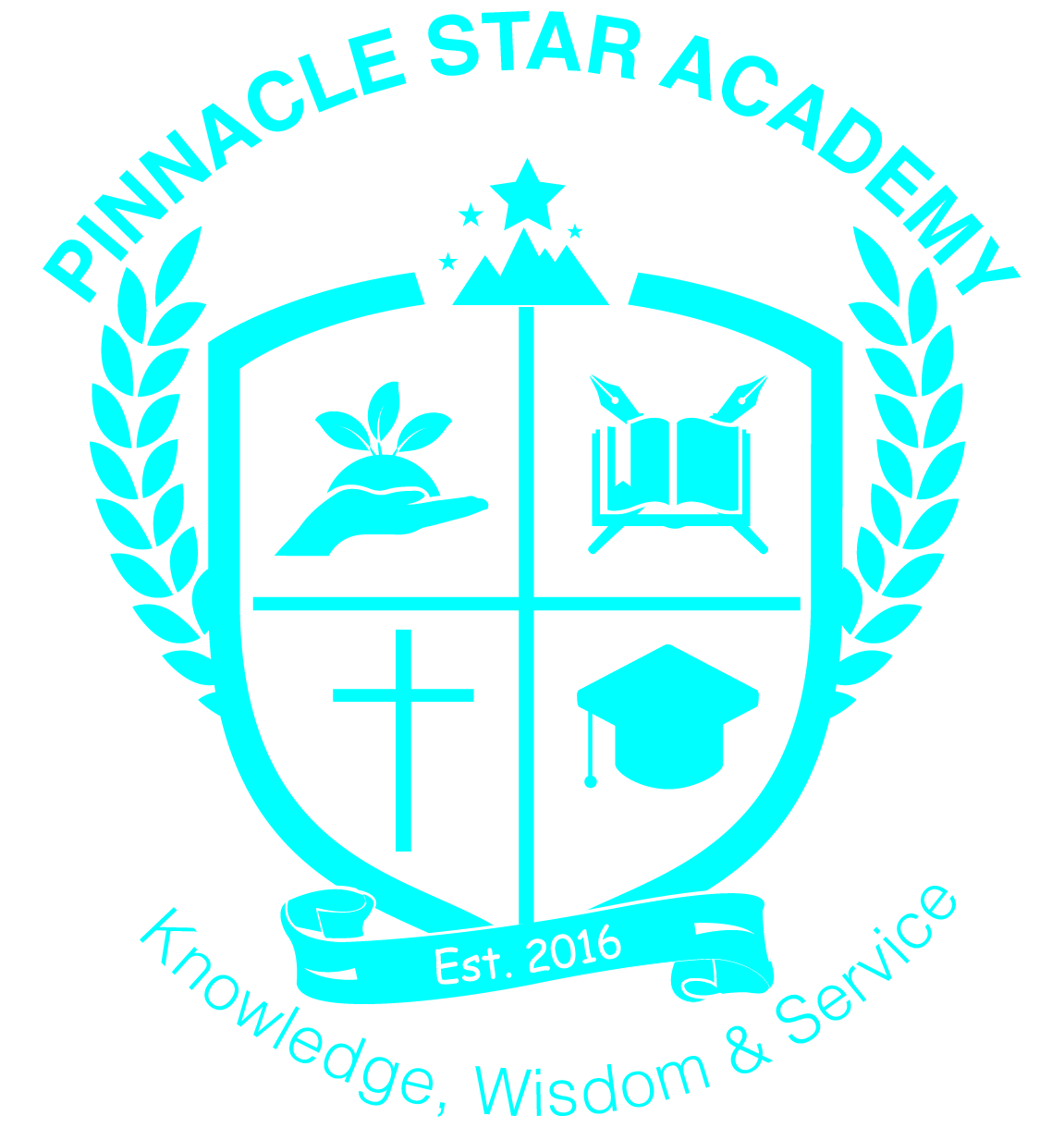 Home | PINNACLE STAR ACADEMY